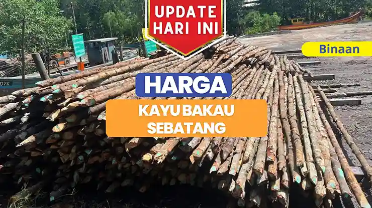 Harga Kayu Bakau Sebatang 2025: Diameter & Panjang