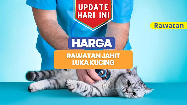 Harga Rawatan Jahit Luka Kucing di Klinik Veterinar 2025