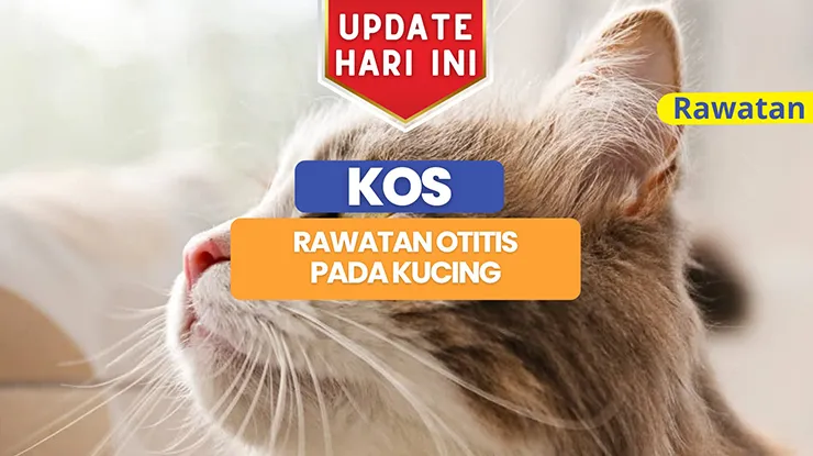 Kos Rawatan Otitis Pada Kucing di Malaysia 2025
