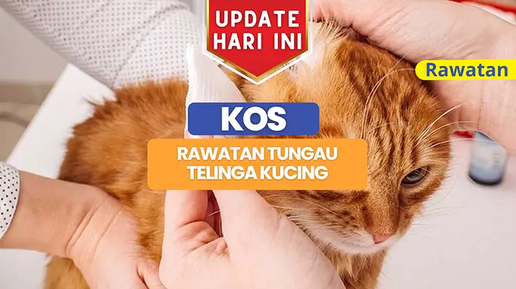 Kos Rawatan Tungau Telinga Kucing di Malaysia 2025