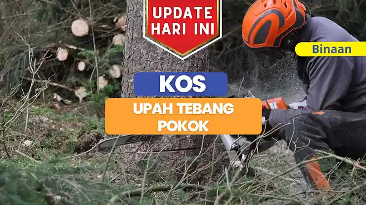 Kos Upah Tebang Pokok di Malaysia Terkini 2025